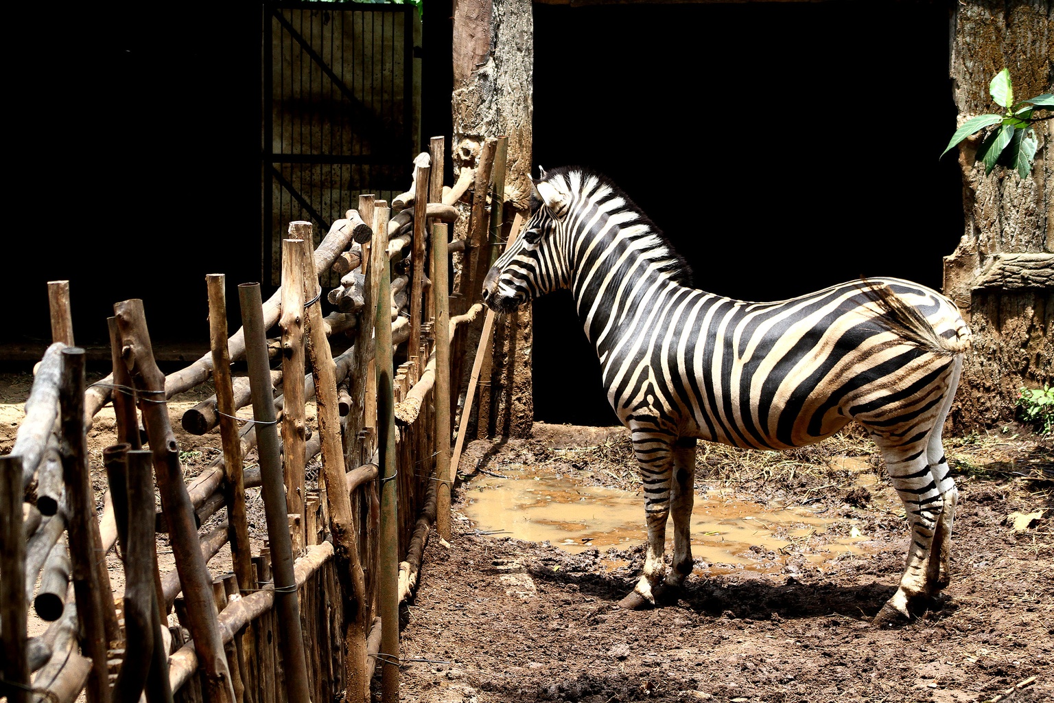 Bandung Zoo