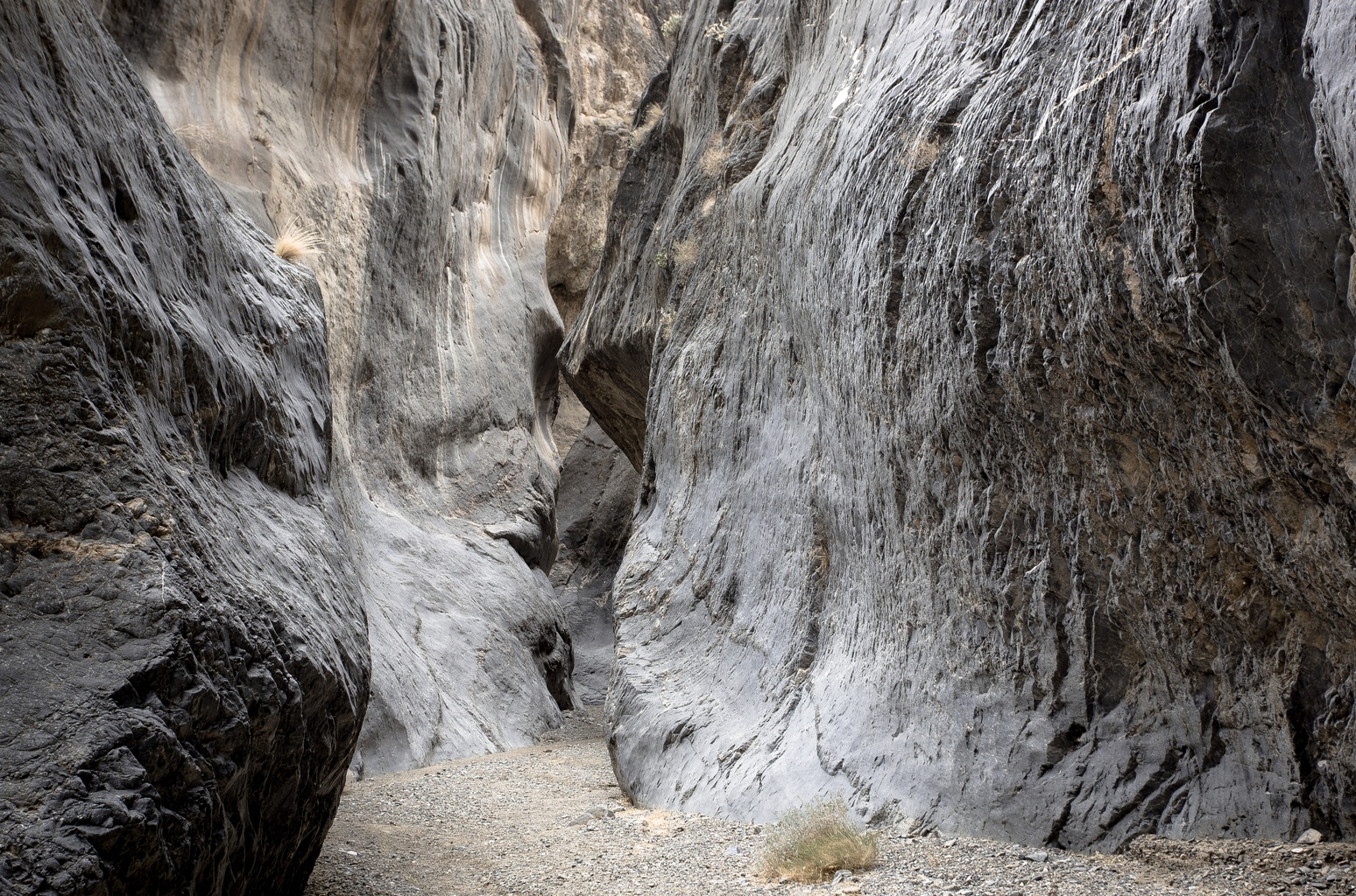 Cottonwood Marble Loop (Marble Canyon)