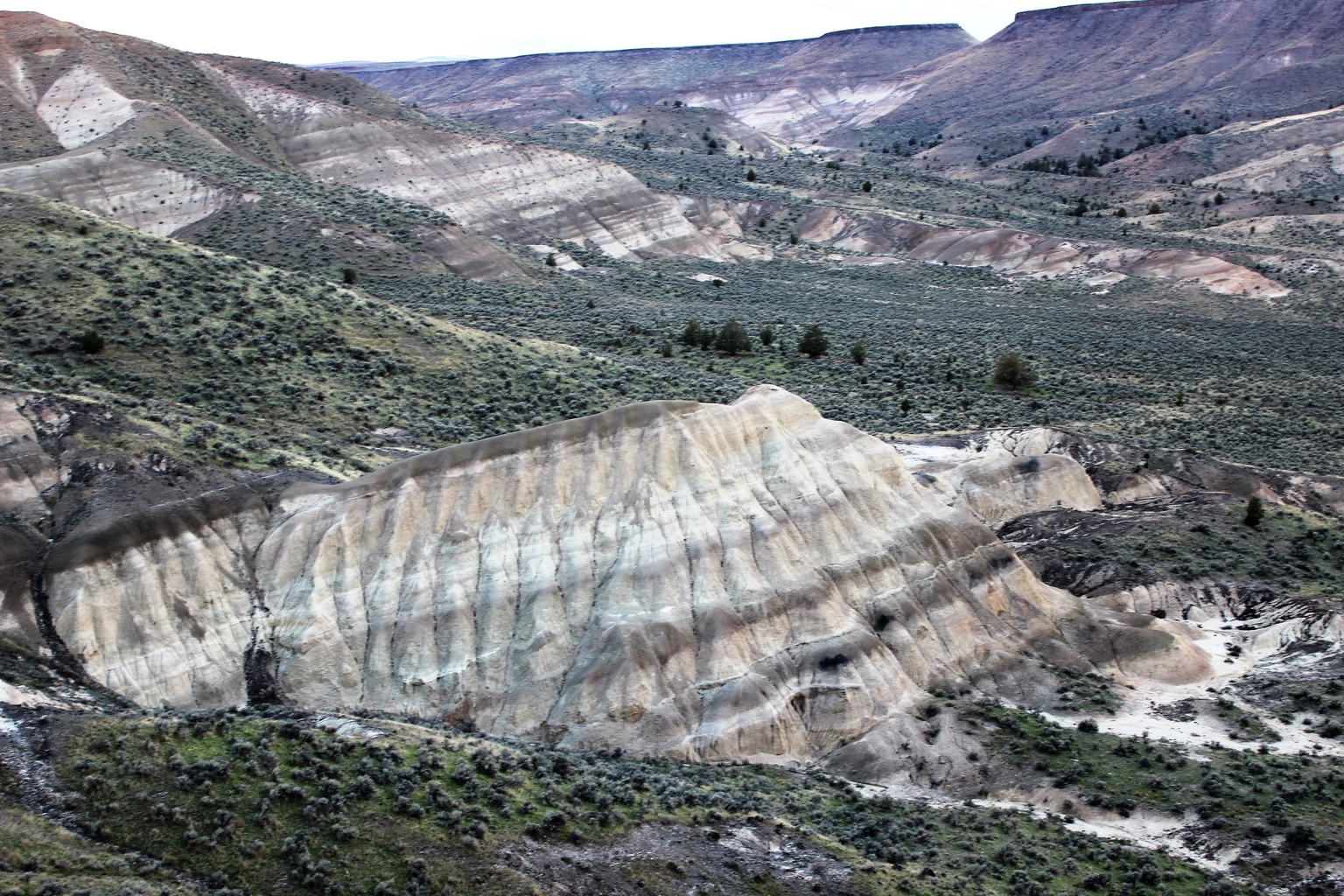 Mascall Formation Overlook