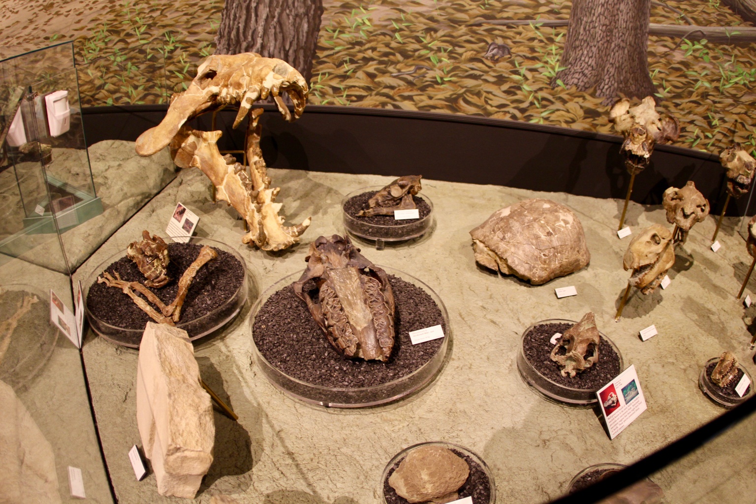 Thomas Condon's Instagram, Twitter & Facebook on IDCrawl