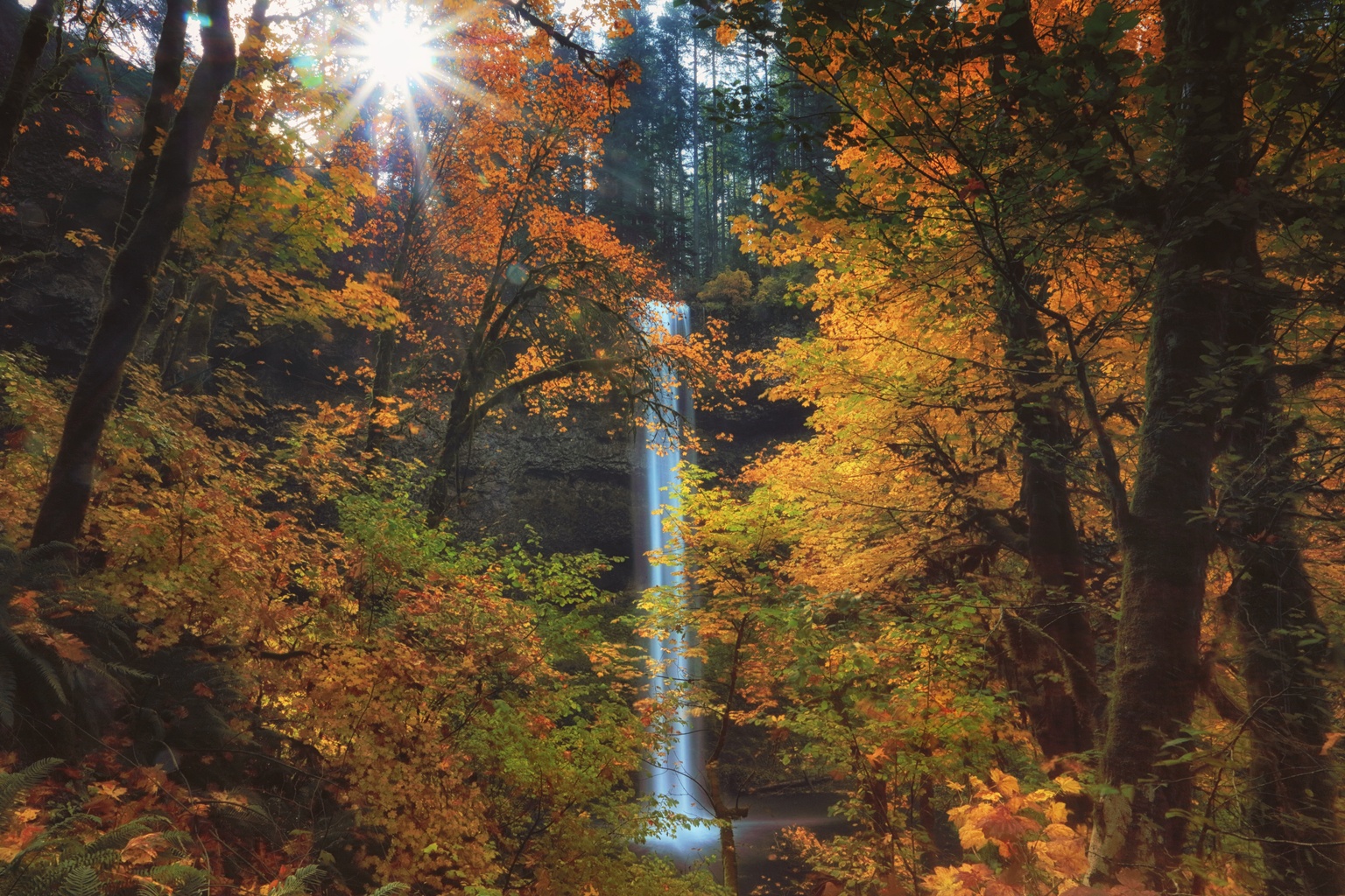 Silver Falls State Park
