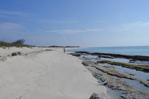 Loggerhead Key