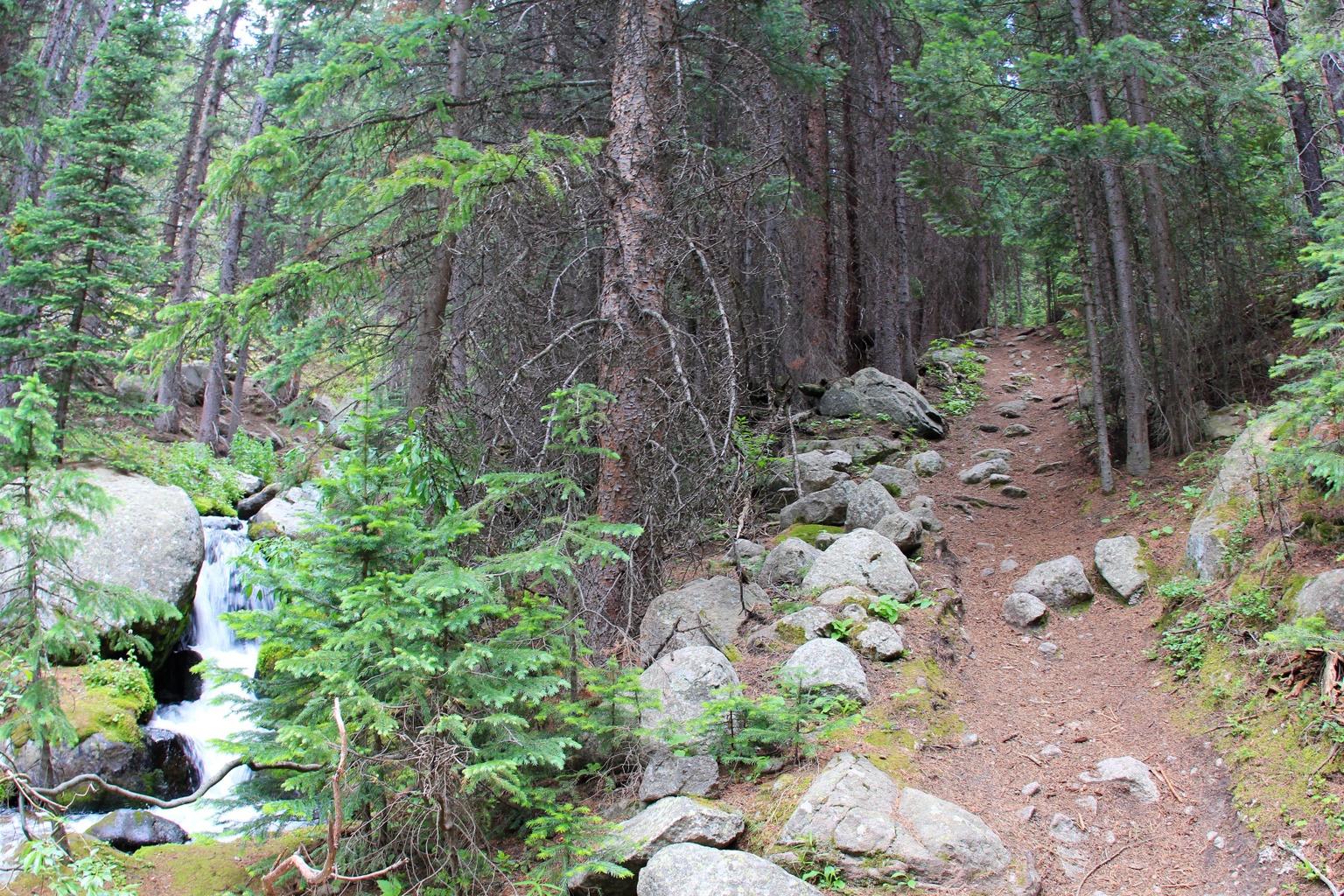 Boulder Brook Trail