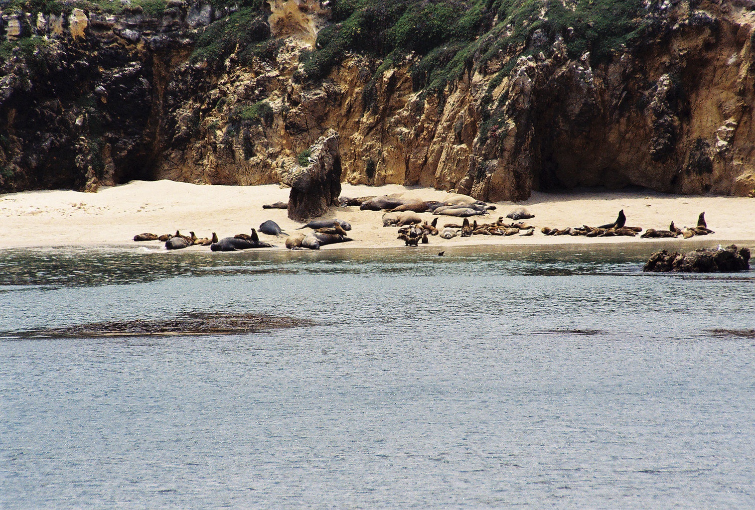 Simonton Cove