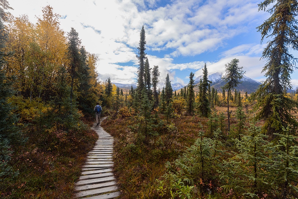Beaver Pond Loop Trail