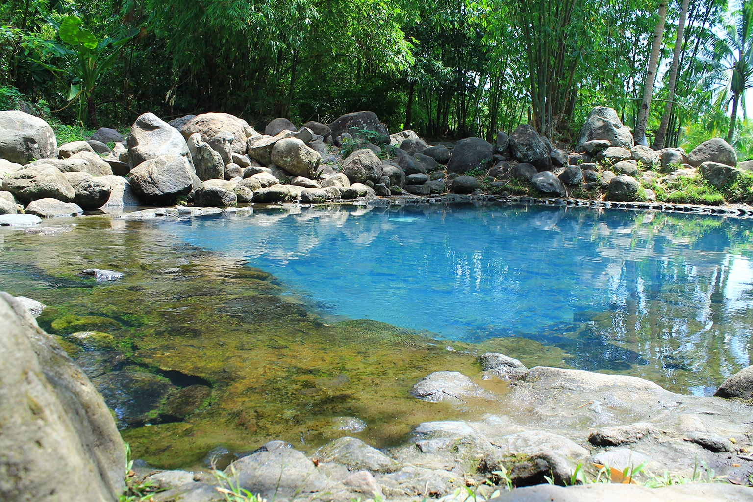 Macao Cold Spring