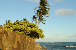 Lē'ahi Beach Park
