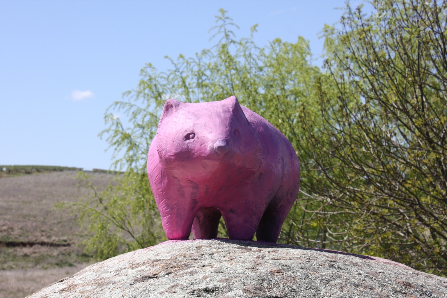 The Pink Wombat