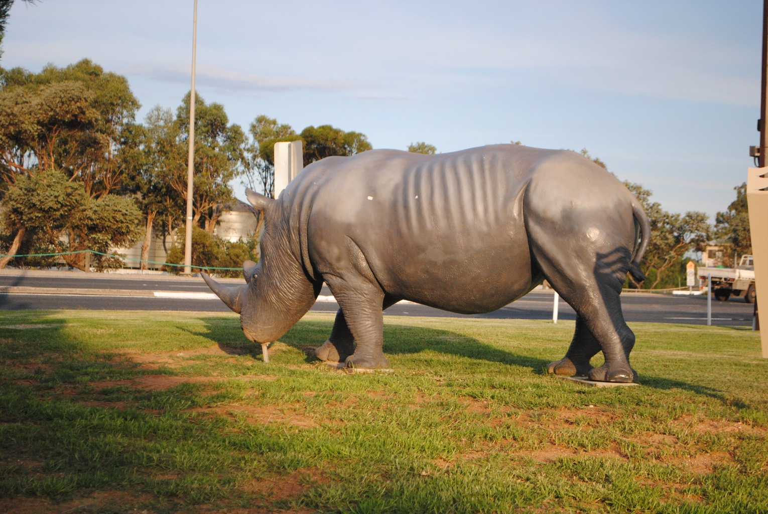 Cosi's Rhino in Tailem Bend