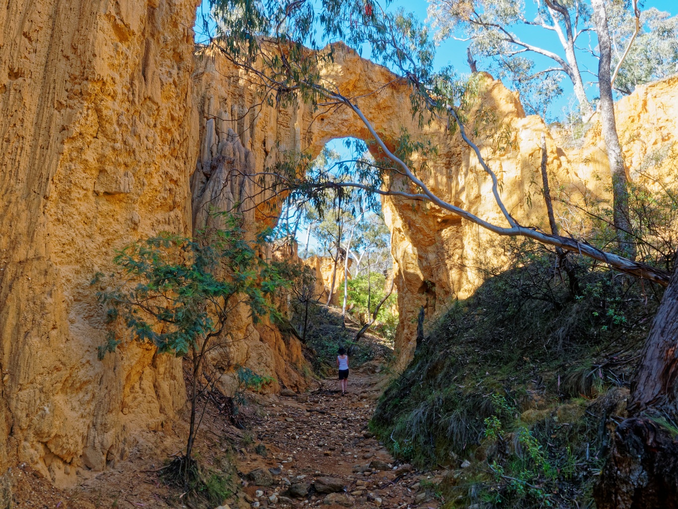 Golden Gully and Archway