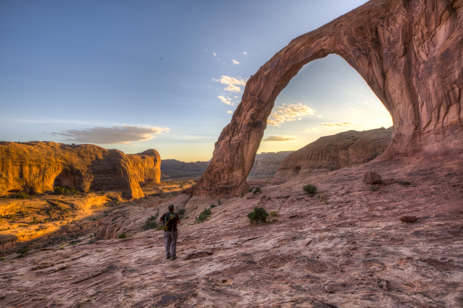 Corona & Bowtie Arch
