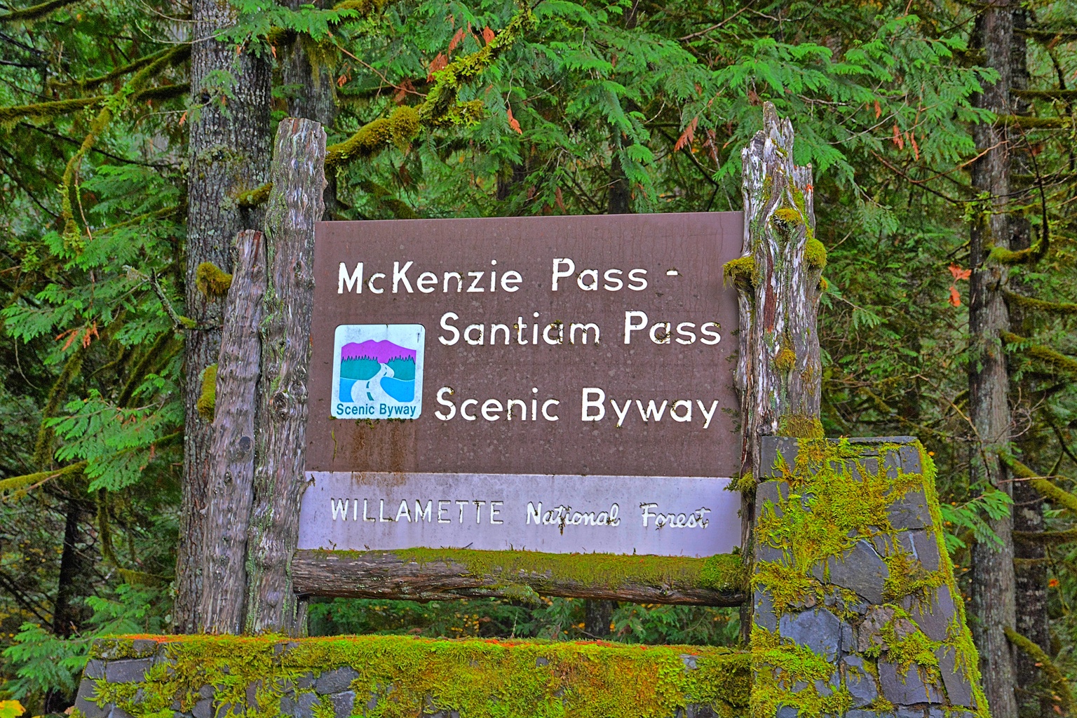 McKenzie Highway (Hwy 242)