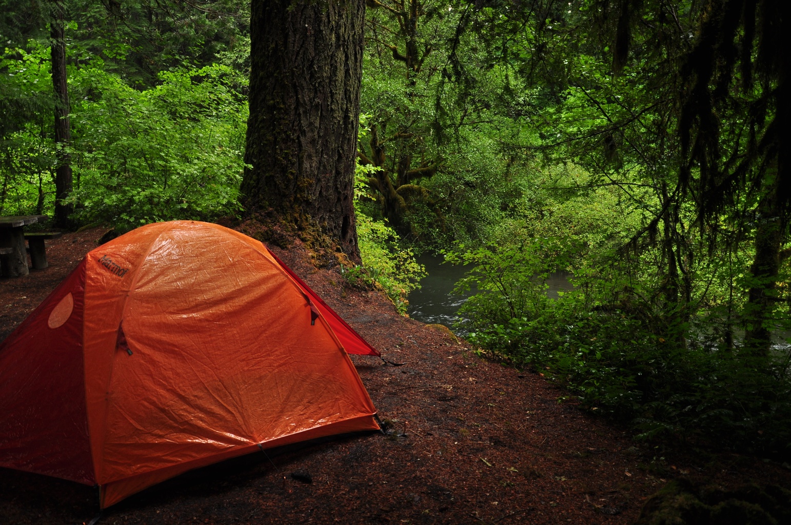 Limberlost Campground