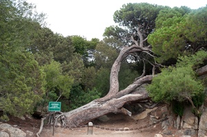 Garibaldi Museum in Caprera