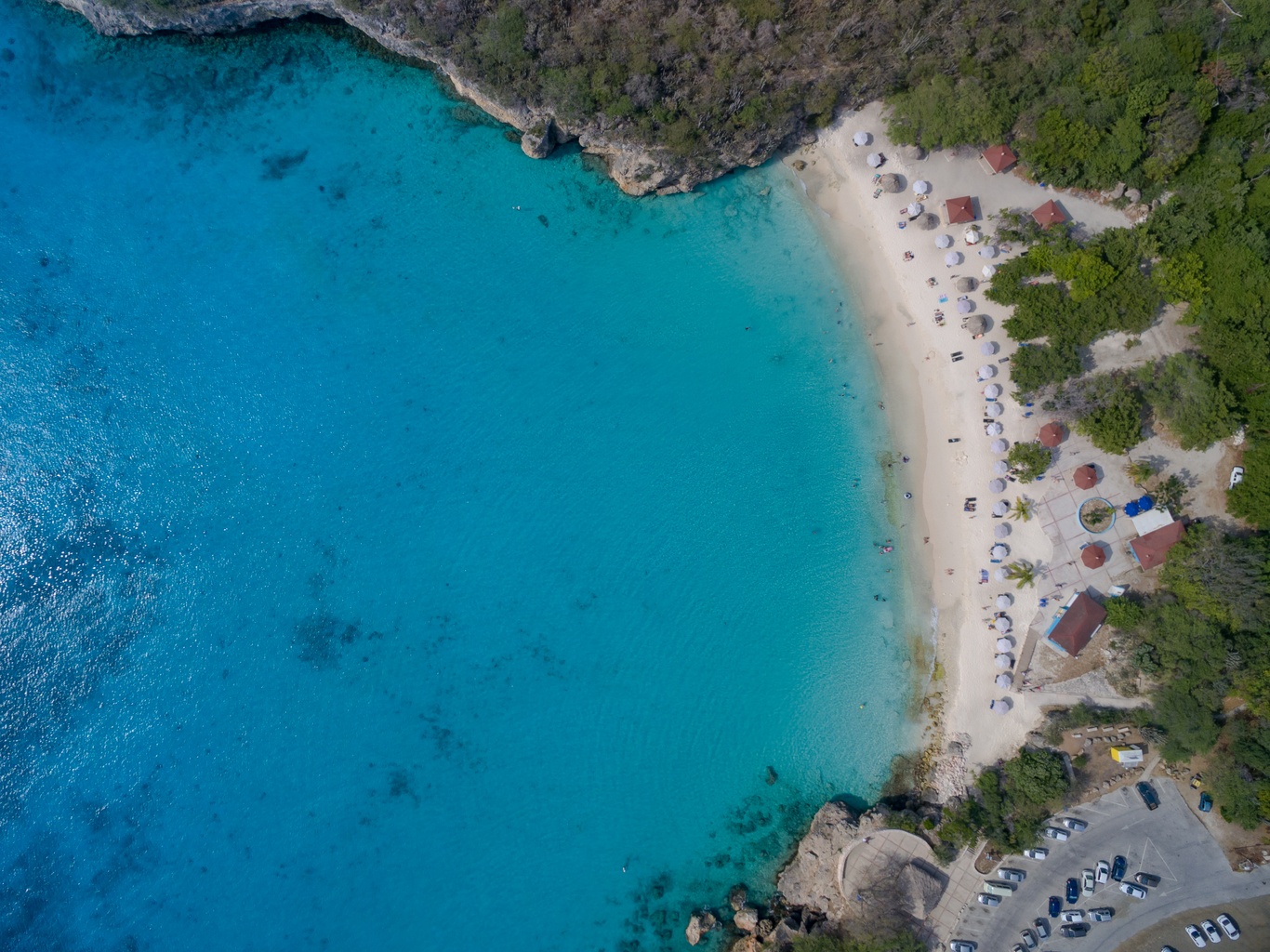 Grote Knip Beach (Kenepa Grande)