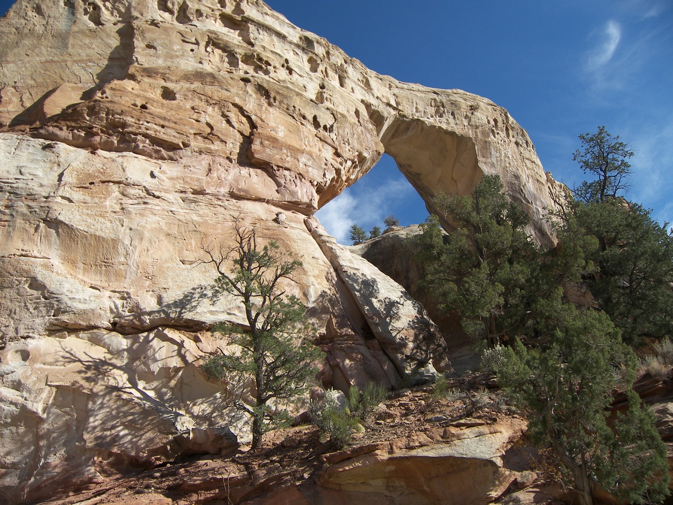 Sam Pollock Arch