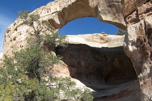 Sam Pollock Arch