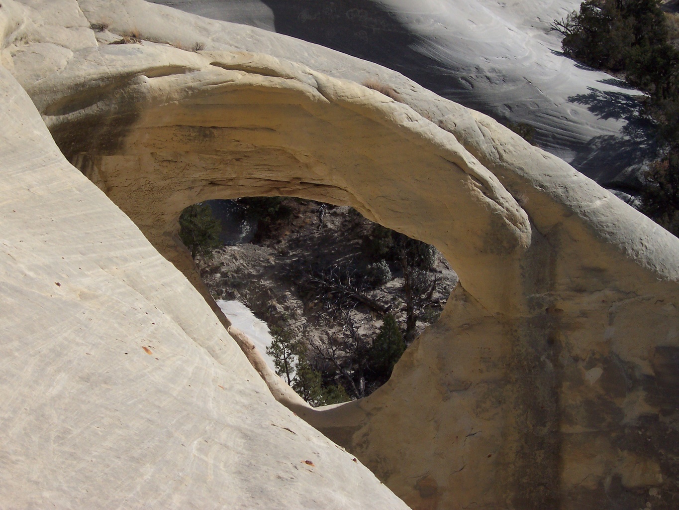 Cedar Wash Road