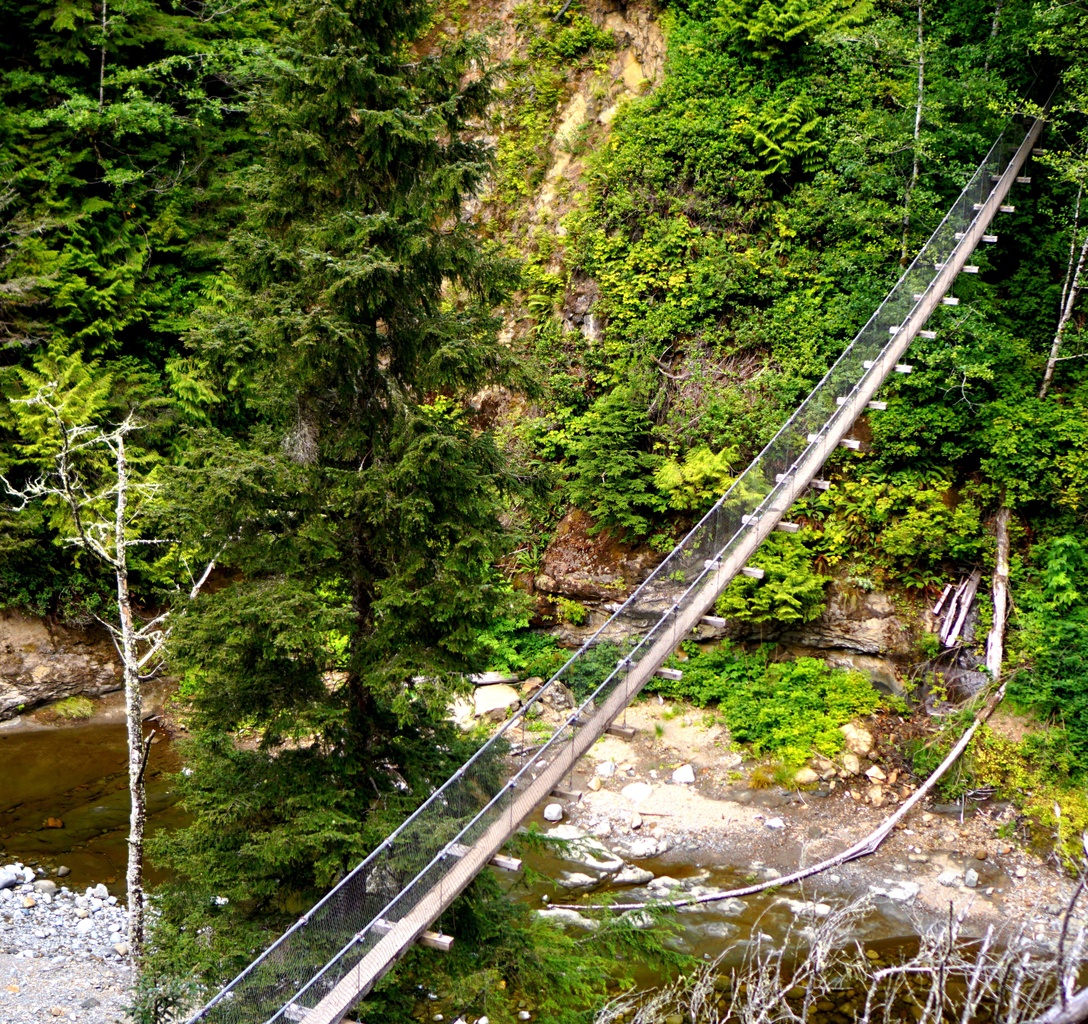 Logan Creek Suspension Bridge