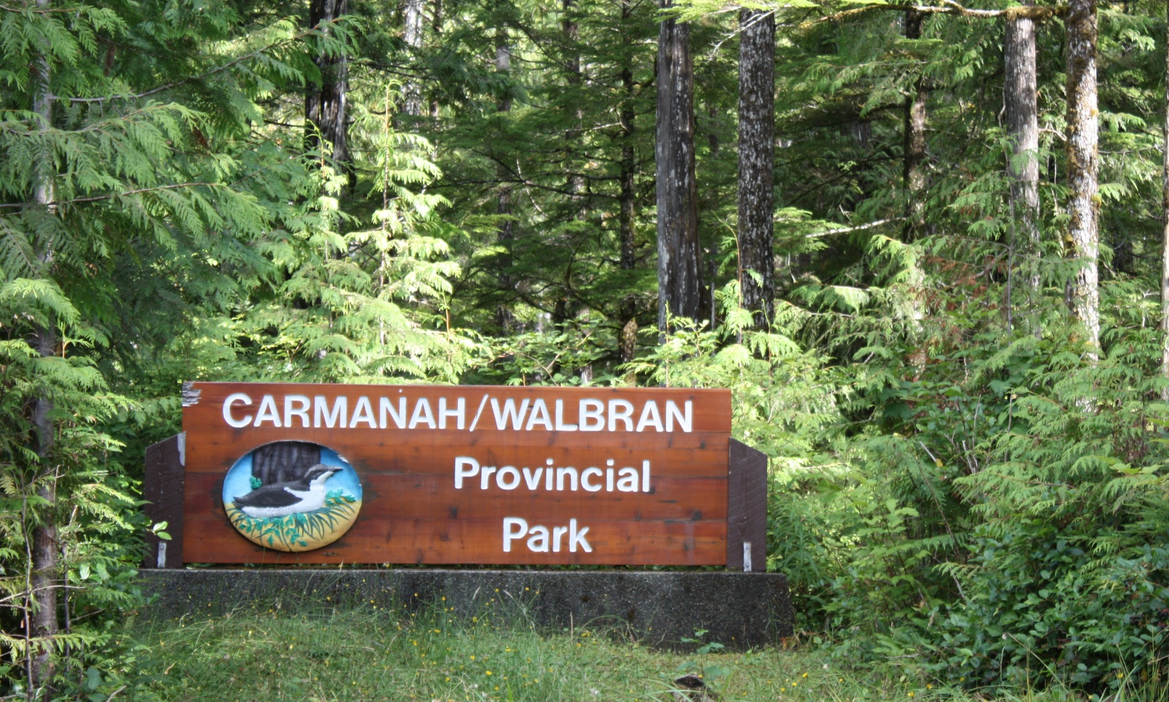 Carmanah Walbran Provincial Park