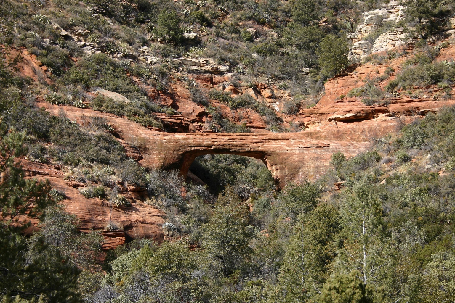 Vultee Arch Trail