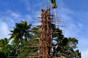 Land Diving on Pentecost Island