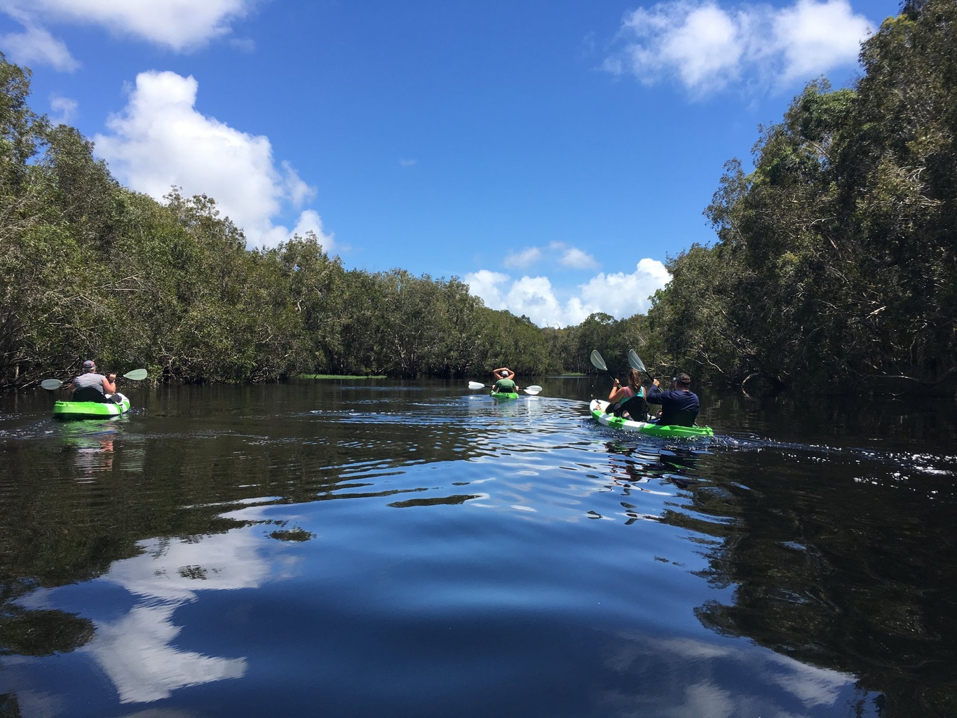 Deepwater National Park