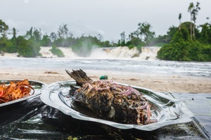 Kribi