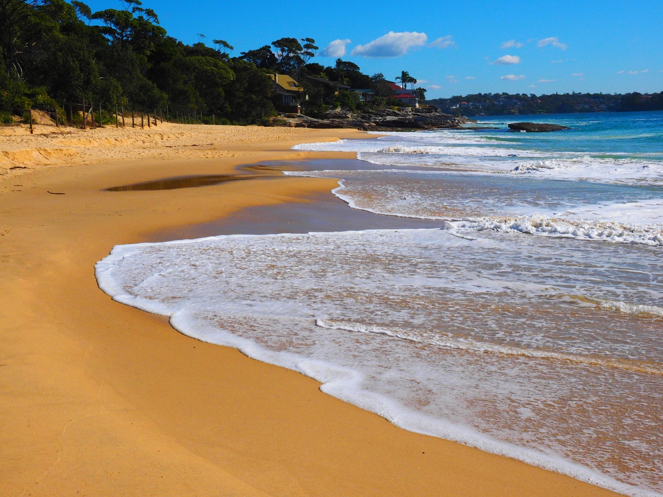 Jibbon Beach Loop Track