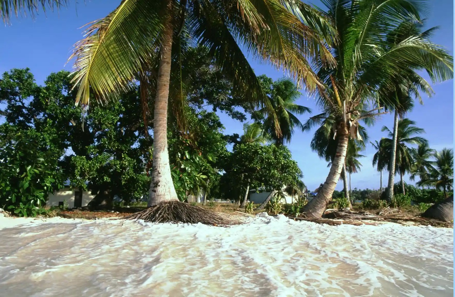 Likiep Atoll