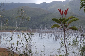 Blue River National Park