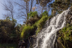 Waitangi Falls