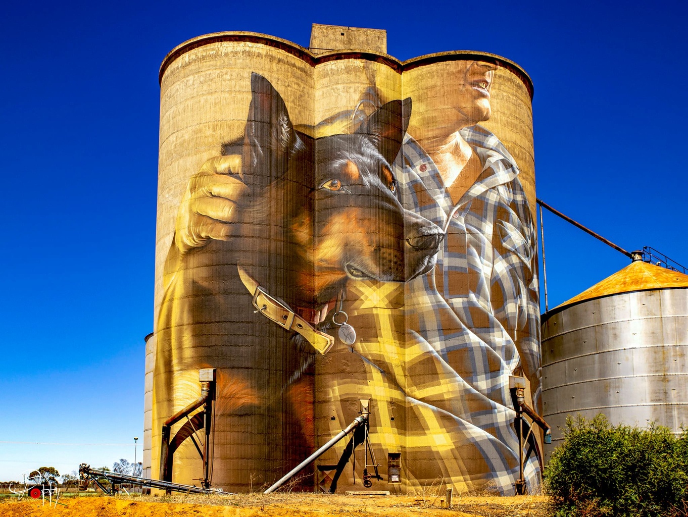 Nullawil Silo Art