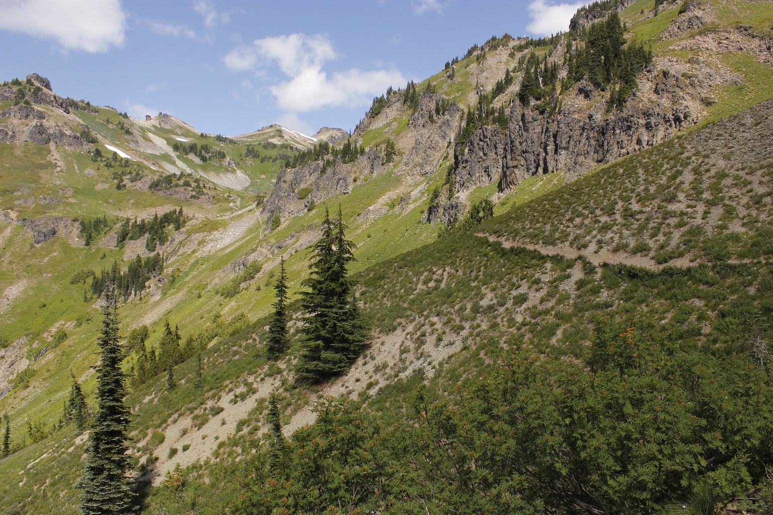Goat Rocks Wilderness