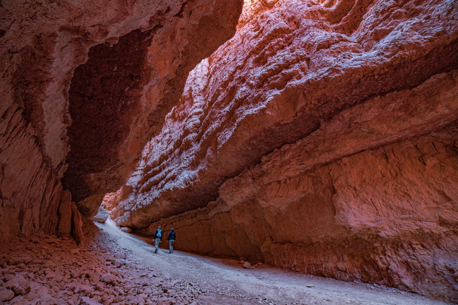 Wall Street (Navajo Loop Trail)