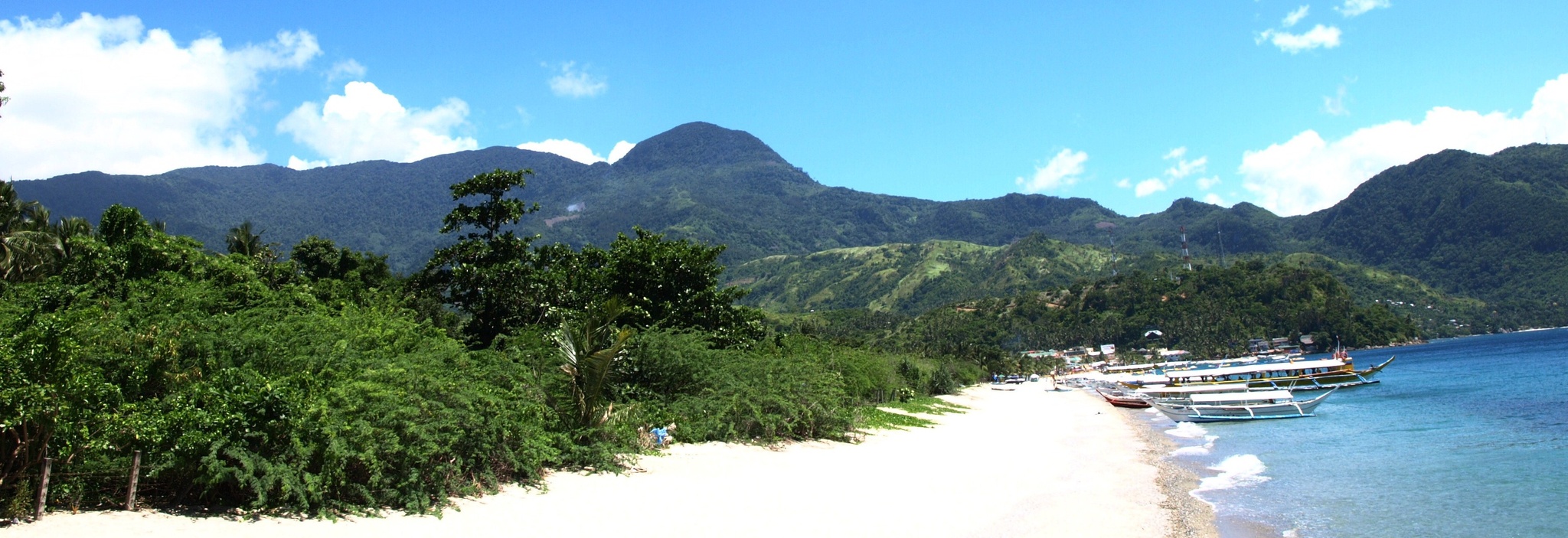 Mount Calavite Wildlife Sanctuary