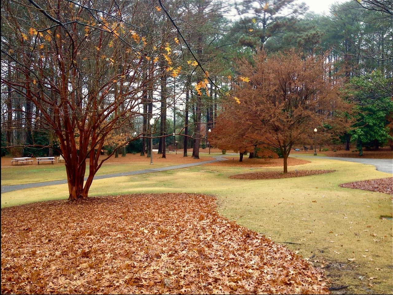 Aldridge Botanical Gardens