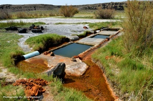 Baker Hot Springs