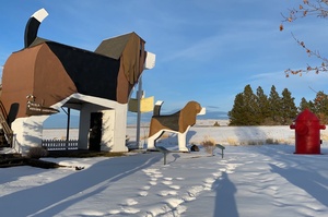 World’s Biggest Beagle