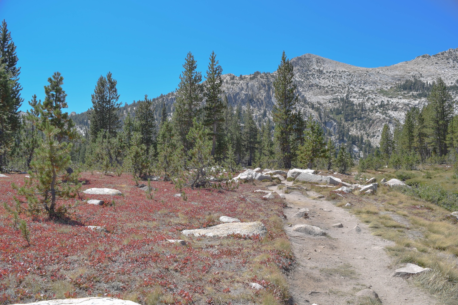 Elizabeth Lake