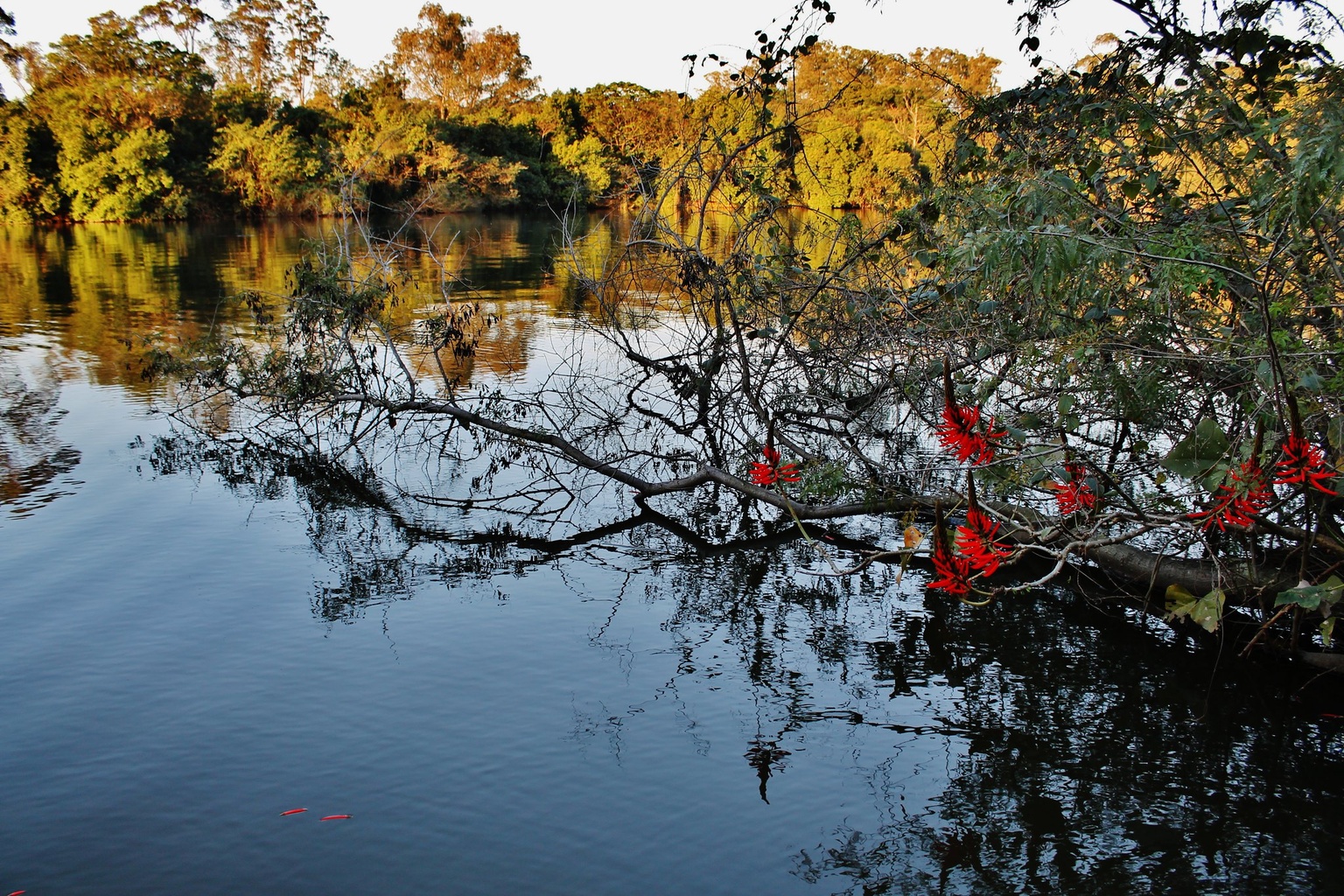 Parque Ecológico do Tietê