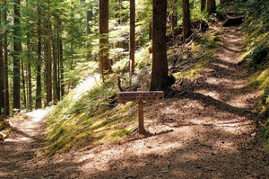 Dosewallips River Trail