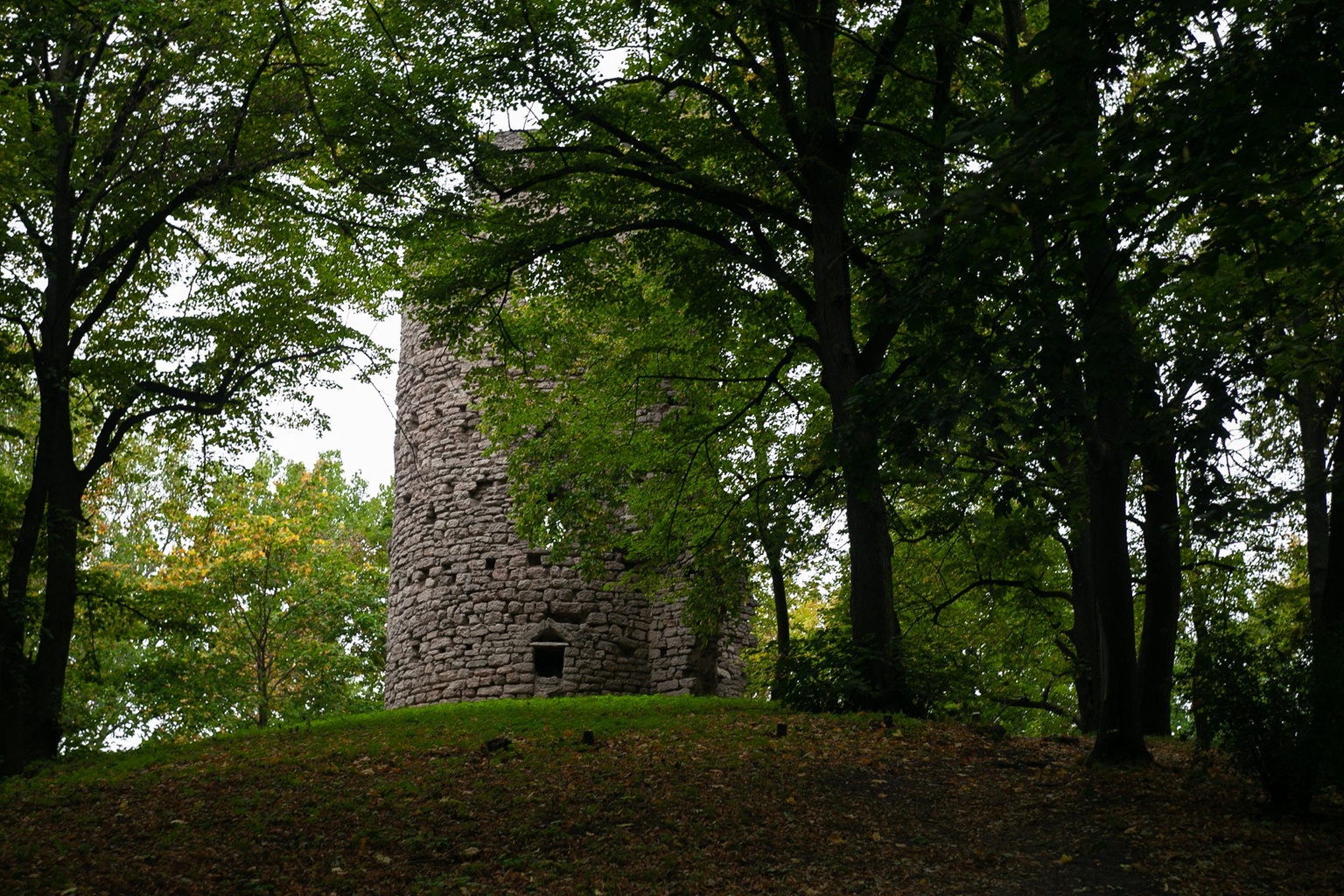Castle Ruins In Aldara Park