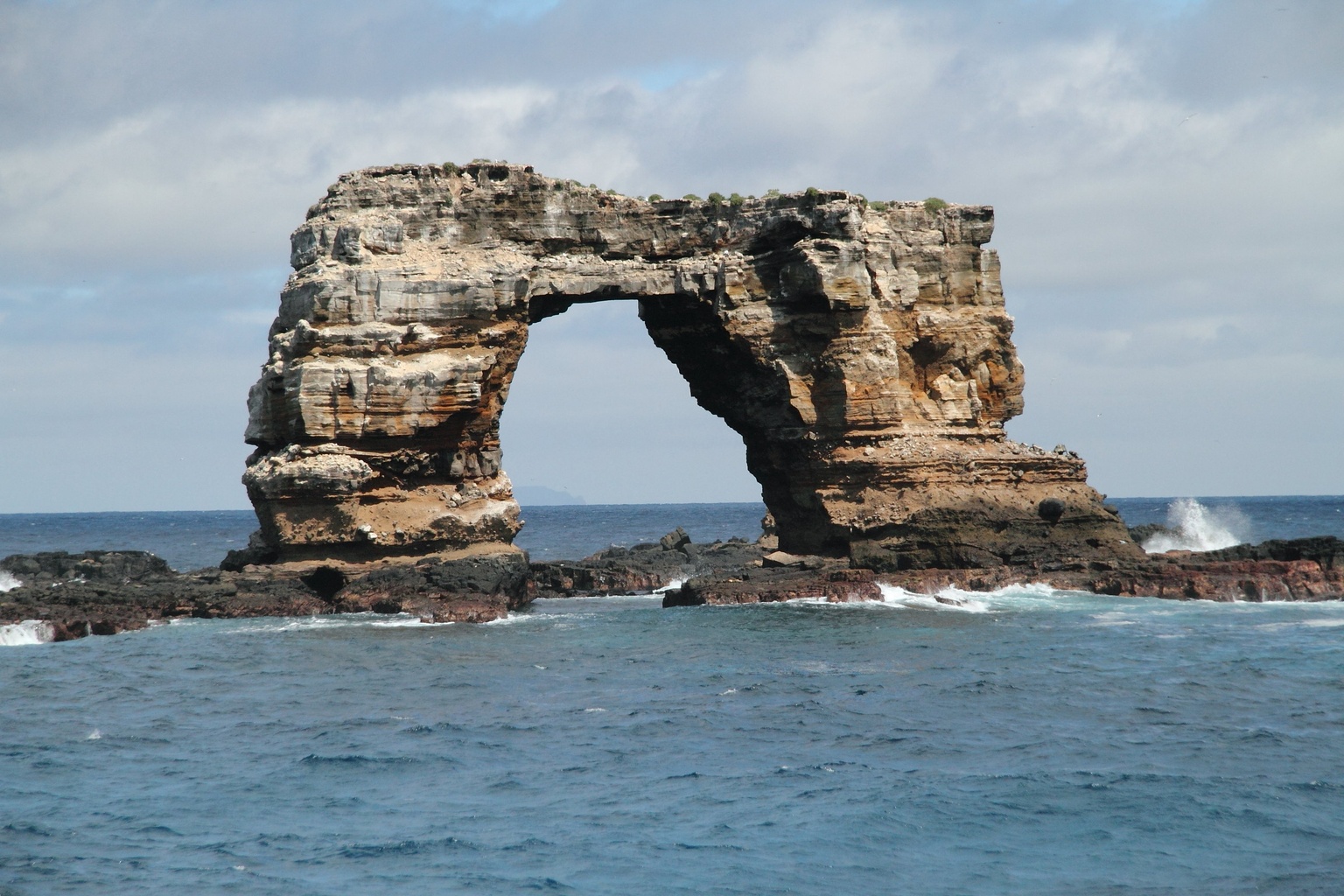 Darwin's Arch