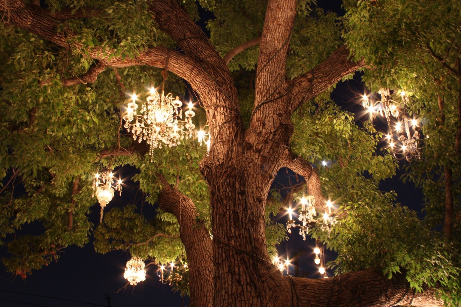 Chandelier Tree