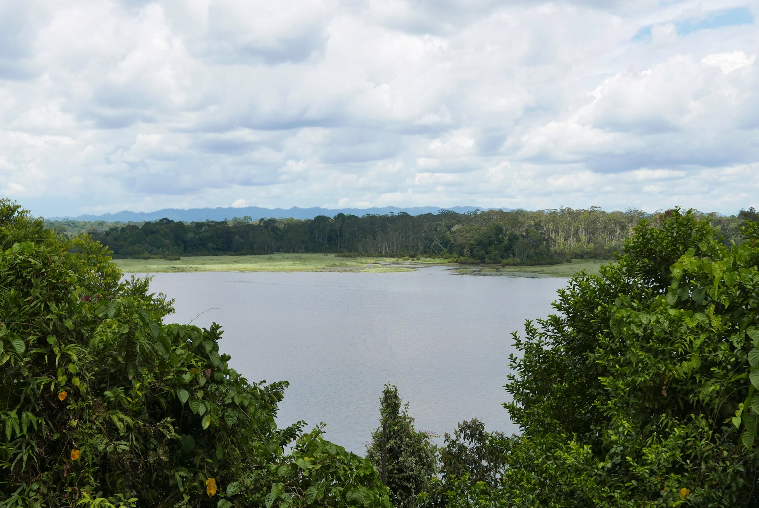 Tasek Merimbun