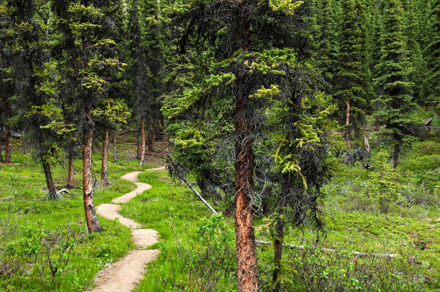 Triple Lakes Trailhead