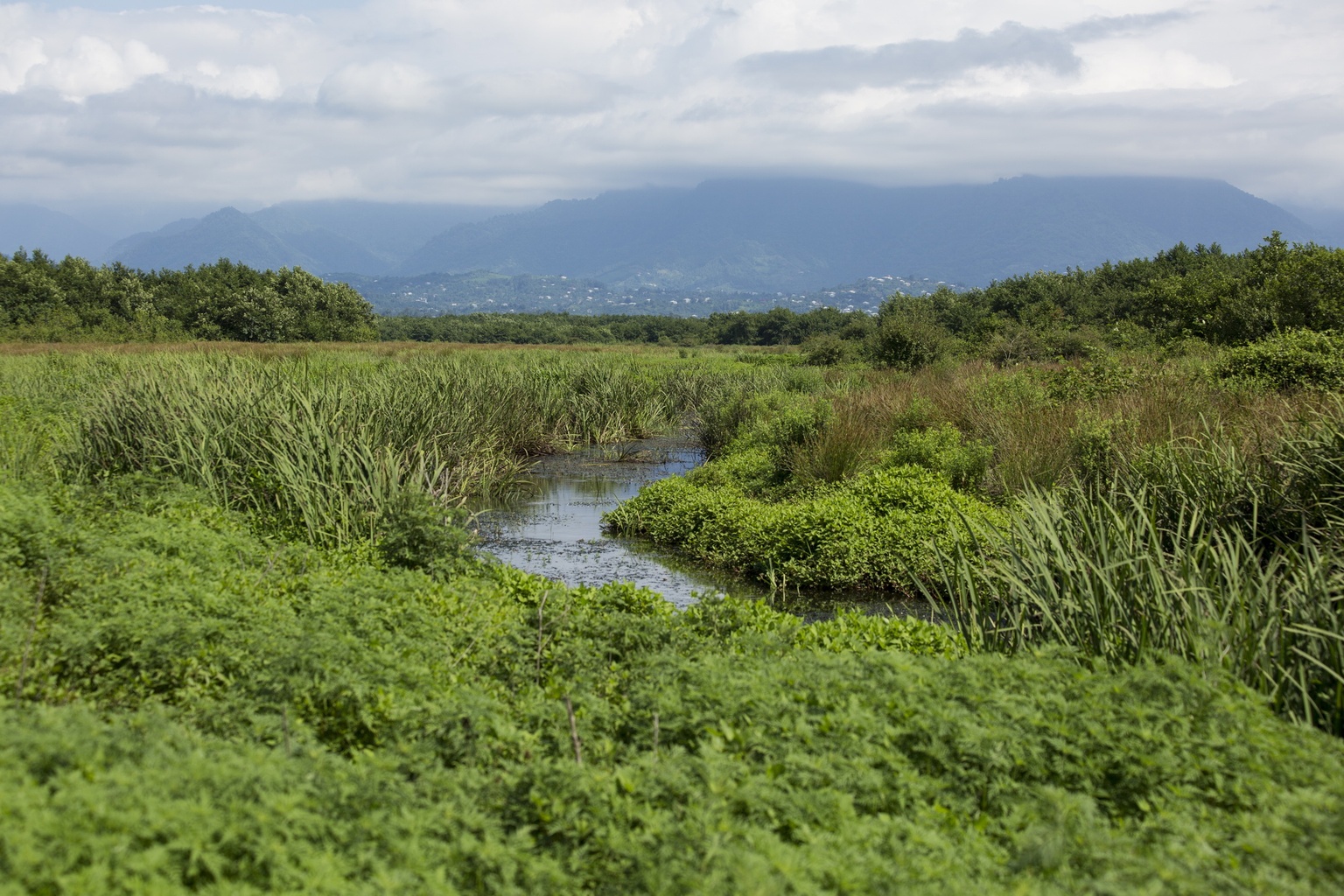 Kobuleti Managed Reserve
