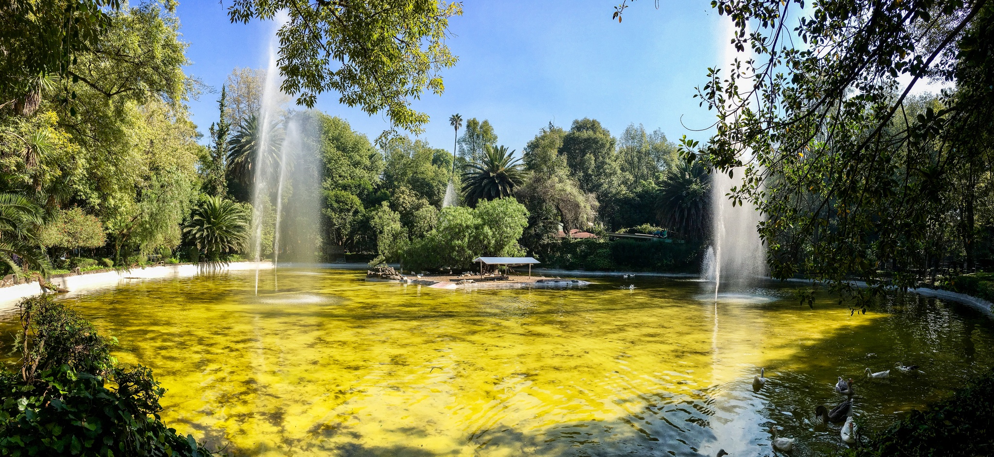 Parque México
