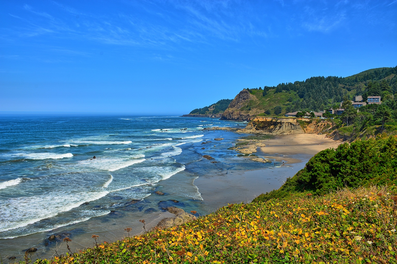 Otter Crest Beach